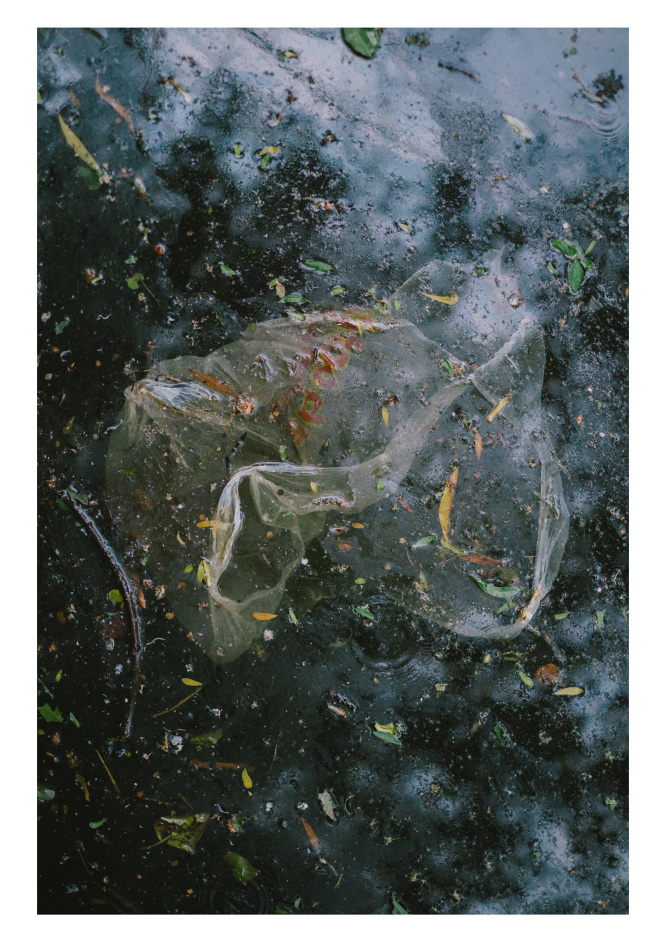 Luke Saxon: Bags for Life | Redeye